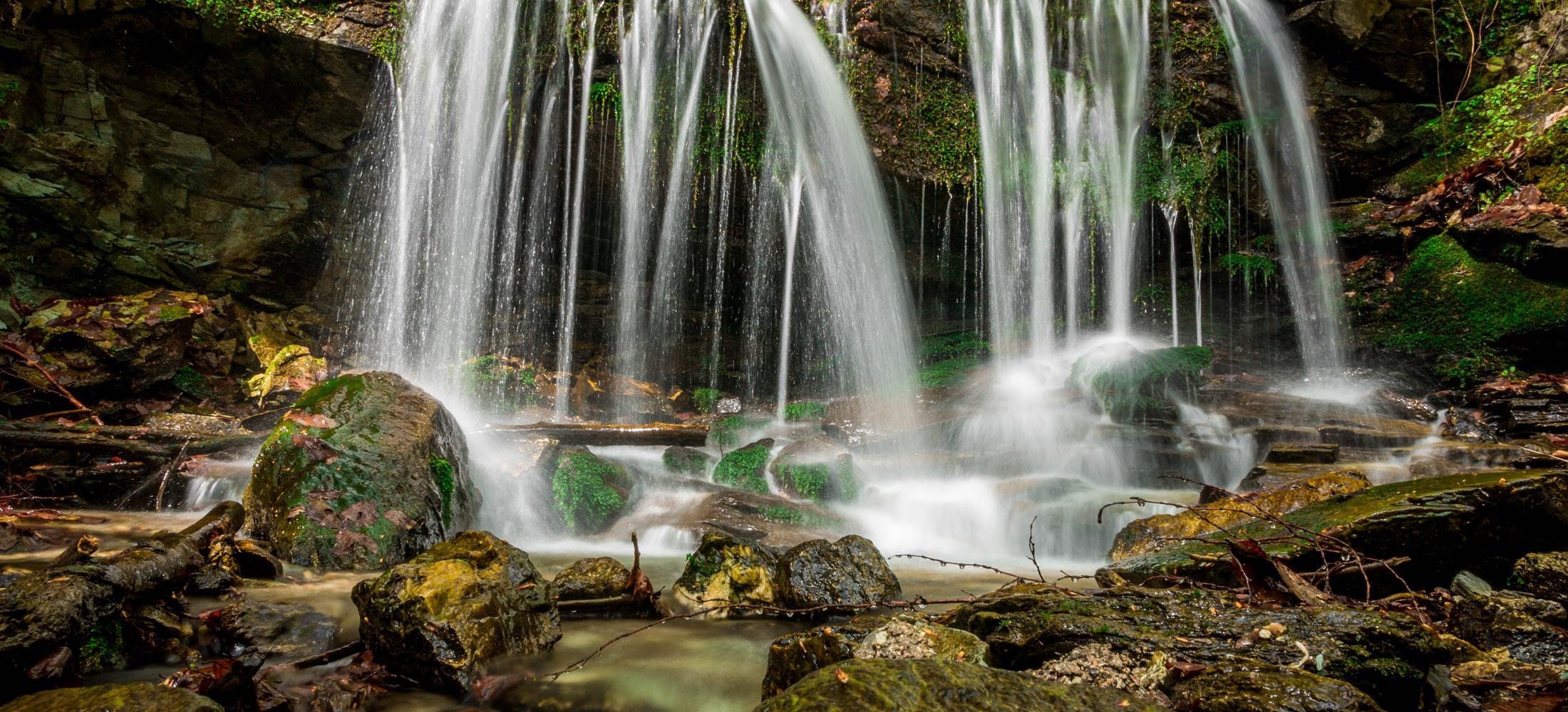 Multimedia for tourist info center in Papuk Nature Park - Pandopad